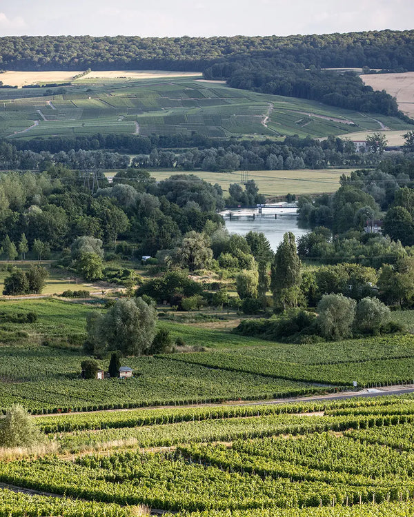 Champagne Bruno Paillard | Champagne Extra Brut | Millesimes